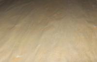 China Birch Yellow Sliced Veneer 2440mm x 1220mm with 0.18-0.6mm Thickness for Plywood Manufacturing for sale