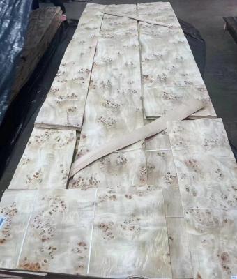 China Natural Sliced Poplar Burl Veneer Sheets A Grade 0.5mm for Furniture Decoration for sale