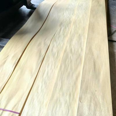 China Natural Sliced Cut Rubber Wood Veneer Sheet 0.5mm Thickness for Furniture Decoration for sale