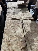 China Mappa Burl Veneer Sheet 0.5mm for Furniture Decoration Natural Wood Veneer for sale