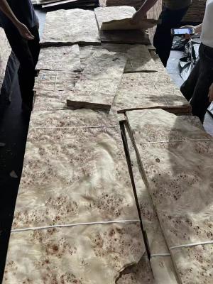 China Mappa Burl Veneer Sheet 0.5mm for Furniture Decoration Natural Wood Veneer for sale