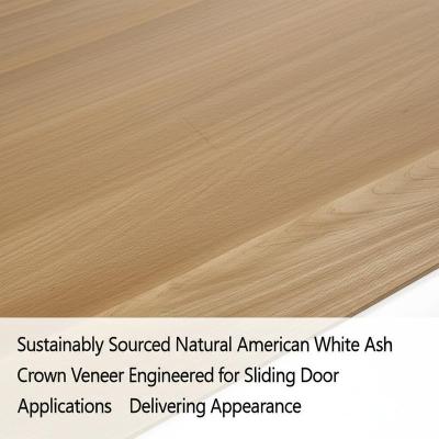 China Natural American White Ash Crown Veneer 0.6-1.5mm 2500x640mm AAA Grade for Sliding Doors for sale