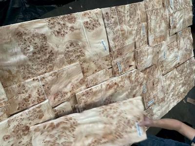 China Natural Mappa Burl Veneer Sheet 0.5mm Sliced Cut 12-15% Moisture for Furniture Decoration for sale