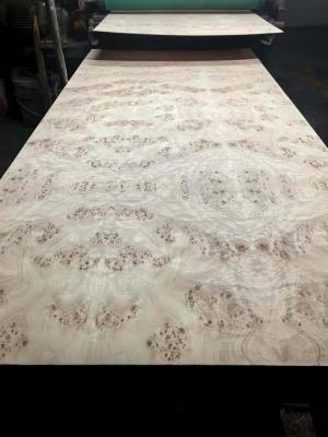 China 0.5mm Mappa Burl Wood Veneer Sheets 100-300cm x 10-60cm for Hotel Decoration for sale