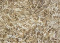 China 0.5mm Mappa Burl Wood Veneer Sheets - 5x12 Inch Natural Wood Veneer for Furniture and Decoration for sale