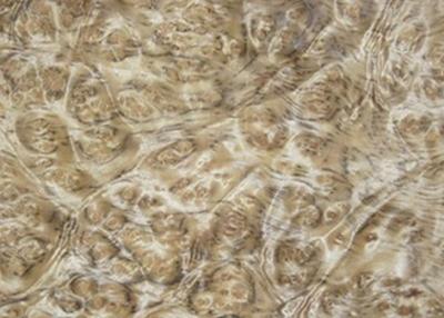China 0.5mm Mappa Burl Wood Veneer Sheets - 5x12 Inch Natural Wood Veneer for Furniture and Decoration for sale