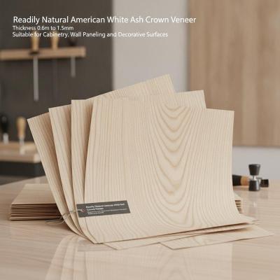 China Readily Natural American White Ash Crown Veneer Thickness 0.6mm to 1.5mm Suitable for Cabinetry Wall Paneling and Decorative Surfaces for sale