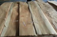 China Natural Birch Two Color Wood Veneer 0.5mm Thickness 1200-2800mm Length Crown Cut Grain for sale