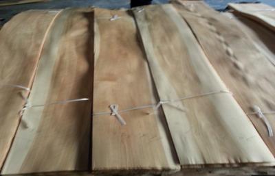 China Natural Birch Two Color Wood Veneer 0.5mm Thickness 1200-2800mm Length Crown Cut Grain for sale