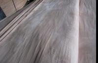 China Natural Rotary Cut Birch Veneer A Grade 4' x 8' Sheets in 0.18mm-0.30mm Thickness for Furniture for sale