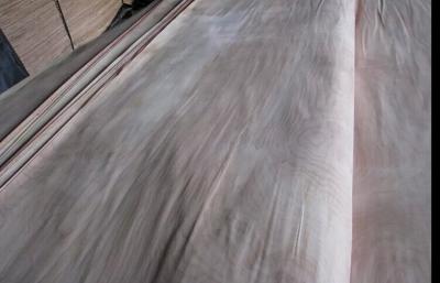 China Natural Rotary Cut Birch Veneer A Grade 4' x 8' Sheets in 0.18mm-0.30mm Thickness for Furniture for sale