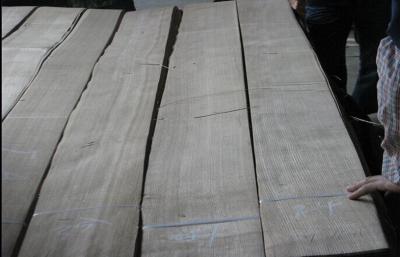 China AA Grade Quarter Sliced Solid Poplar Thin Sheet Wood Veneer 0.5mm 1200-3500mm for sale