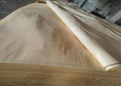 China A Grade Rotary Cut White Birch Wood Veneer Sheets 0.18mm 0.22mm 4x8 for sale