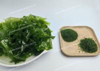China Crunchy Green Aonori Dried Seaweed Umami Flavor for Potato Chips / French Fries for sale