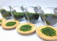 China Crunchy Green Aonori Dried Seaweed Umami Flavor for Potato Chips / French Fries for sale