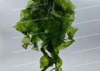 China Natural Green Seaweed Powder Crushed Seaweed Powder as Baking Ingredients 50g Sprinkle on Food for sale