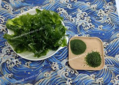 China Popular Japanese Seasoning Low Calorie Aonori Powdered Seaweed Dried Green Laver Protein Food for sale