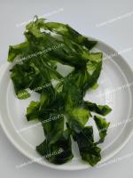 China Crispy Umami Ulva Ao Nori Dried Green Seaweed 10kg Bag With HACCP Certification for sale