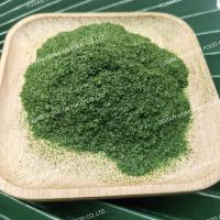 China Pure Sea Vegetable Flavorful NORI Aonori Powdered Seaweed Dried For Japanese Cuisine 10kg Pack for sale