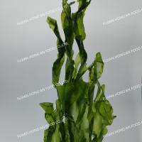 China Food Grade Nutrient Rich Green Aonori Dried Seaweed Dry Processed Crispy Snack with Umami Flavor for sale