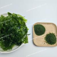 China Authentic Umami Nori Green Seaweed Flakes For Gourmet Japanese Cuisine Baked Dishes for sale