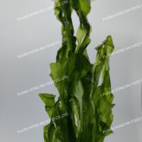 China Authentic Umami Nori Green Seaweed Flakes For Gourmet Japanese Cuisine Baked Dishes for sale