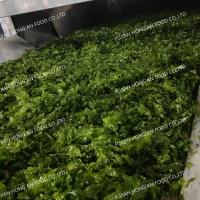 China Umami Flavored Seaweed Japanese Seaweed Green Laver HACCP Certified for Korean Snacks for sale