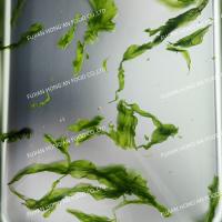 China HACCP Certified Green Aonori Dried Seaweed Flakes Nutritious Sprinkles for Cuisine and Snacks for sale