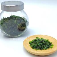China Nutritious Food Grade Processed Sea Lettuce Powder Aonori Dried Seaweed Used In Japanese Cuisines for sale