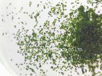 China Fine Texture Dried Aonori Seaweed Powder With Rich Vitamins And Minerals for sale