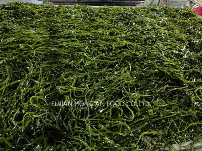China 1 Year Shelf Life Kelp Kombu Sprouts Sea Vegetable Green Color Umami Taste for sale