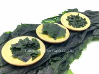 China HACCP Certified Green Umami Kelp Sprouts for Japanese and Korean Restaurant Nutritious Salads and Soup for sale