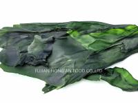 China Green Kelp Sprouts Rich Umami Flavor Dried Japanese Kombu Laminaria Japonica HACCP Certified for sale