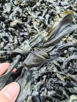 China Dried Korean Kombu Kelp Sprouts Sea Vegetable Topped With Umami Flavor HACCP Apporved for sale