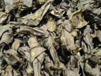 China HACCP Certified Steamed 100% Natural Dried Sea Food Tangle Kombu Kelp Sea Vegetable For Umami Salads Stir Fries Soups for sale