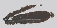 China Green Kombu Laminaria Japonica Kombu Dried Kelp For Versatile Cooking for sale