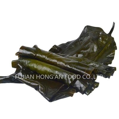 China Umami Rich Green Kelp Sprouts , Kombu Sea Kelp For Salads Soups Asian Foods for sale