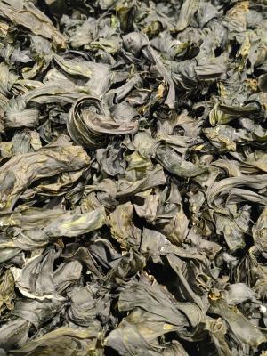 China Nutrient Rich Kelp Shoots with Zesty Umami Flavor - Suitable for Soup for sale
