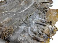 China Dried Kombu Dry Kelp Umami Rich Sea Vegetable For Culinary Creations Soup for sale