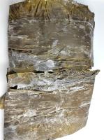 China Dried Kelp/Kombu Sprouts Umami Rich Steamed Dish Enhancer for Soup for sale