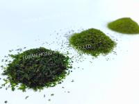 China Aonori Powder Flakes Haccp Certified Sprinkle on Rice Cookies Potato Chips French Fries Baked Food for sale
