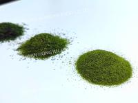 China Aonori Seaweed Powder Umami Green Powdered Seaweed From Dried for sale