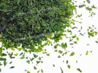 China Dried Green Laver Aonori Powdered Dried Seaweed Powder - Authentic Japanese Seasoning Sprinkle on Sushi for sale