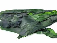 China Natural Sun Dried Dashi Kombu Seaweed Salad Fried Kelp Sea Vegetable For Japanese Korean Soup for sale
