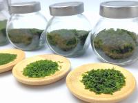China Nori Seaweed In Chips Aonori Crispy Green Dry Aonori Powder Dried Seaweed Powder Rich In Minerals And Vitamins for sale
