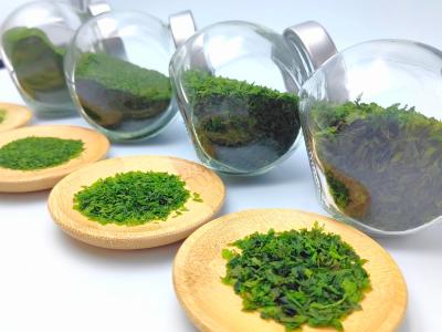 China HACCP Green Laver Aonori Dried Seaweed Powder Flakes Nutritious Sprinkles for Japanese Korean Cuisine and Snacks for sale