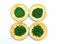 China Sprinkle Green Ulva Pertusa Seaweed Powder Flakes 10kg Organic Aonori Crispy Texture For Spices Ingredient for sale