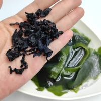 China Certified Dried Wakame Nutrient Rich Wakame Undaria Seaweed For Culinary Creations for sale