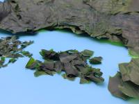China Japanese Ingredient Brown Algae Dried Kelp Kombu Sprouts Nutrient Rich Superfood With HACCP Certification for sale