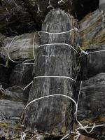 China Japanese Seaweed Phaeophyceae Nutrient Rich Sea Vegetable Dry Kelp Shoots Sea Kombu Fronds for sale